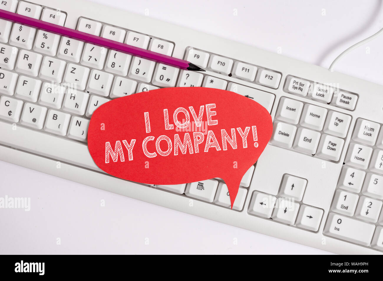 Text sign showing I Love My Company. Business photo text tell why ...