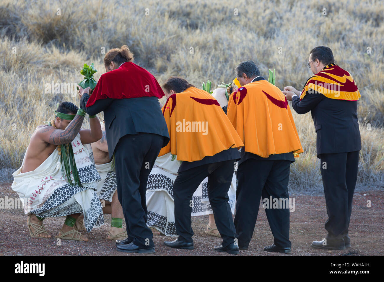 Royal Order of Kamehameha present offerings at Pu'ukohala Heiau NP ...
