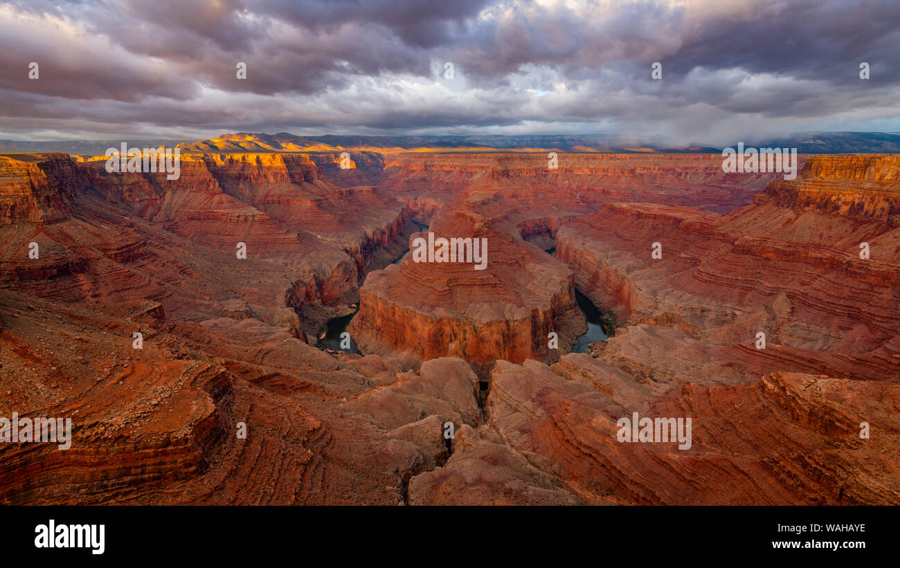 Arizona colorado river hi-res stock photography and images - Alamy