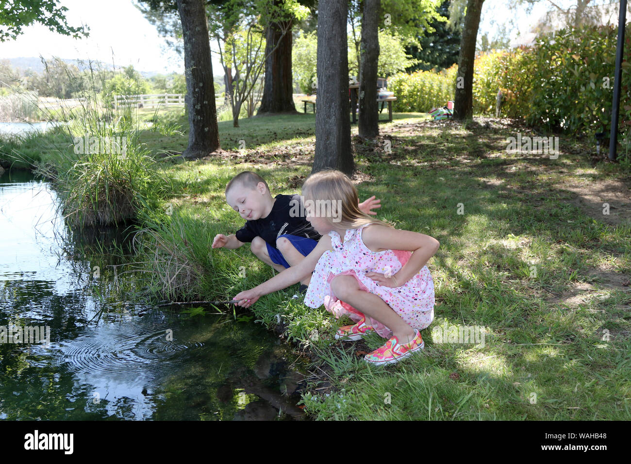 Kids having fun and playing in a rural pond Stock Photo - Alamy