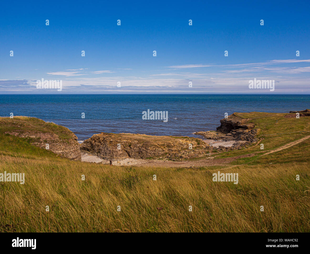 The Wherry, Whitburn Coastal Park, Tyne & Wear, England Stock Photo - Alamy