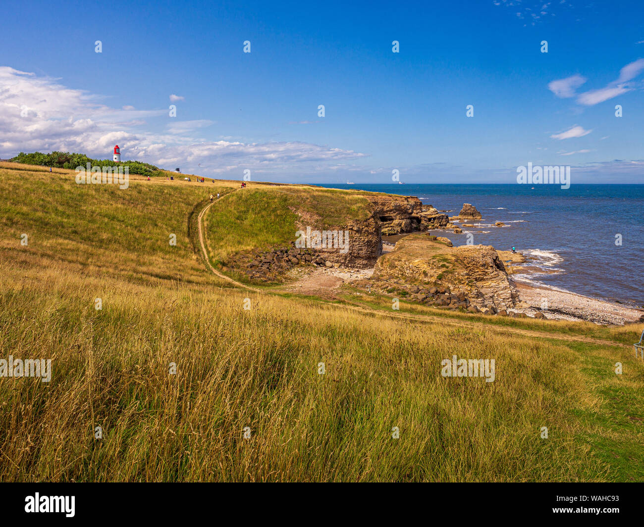 The Wherry, Whitburn Coastal Park, Tyne & Wear, England Stock Photo - Alamy