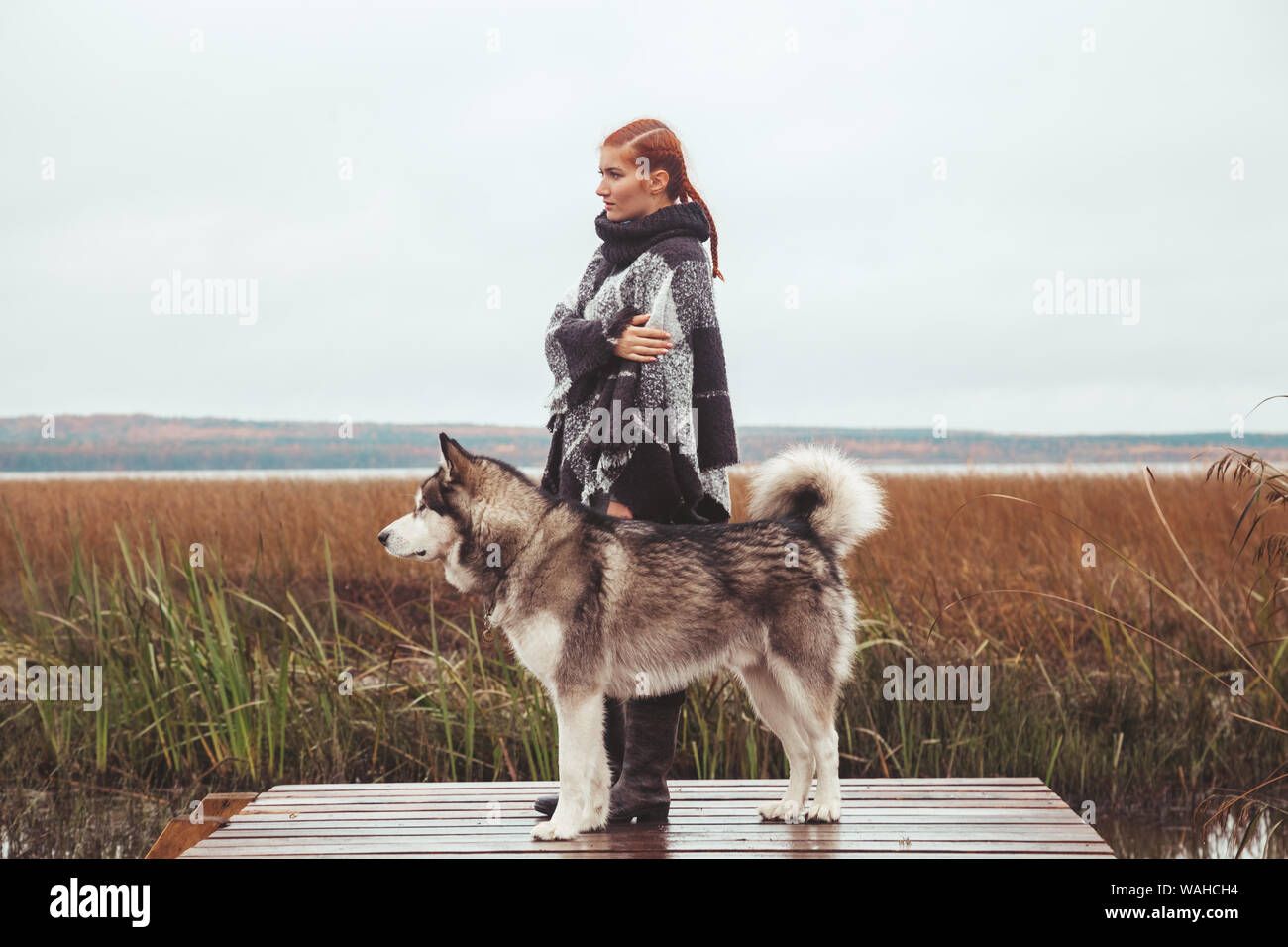 pretty girl with red hair walking with her dog together Stock Photo - Alamy