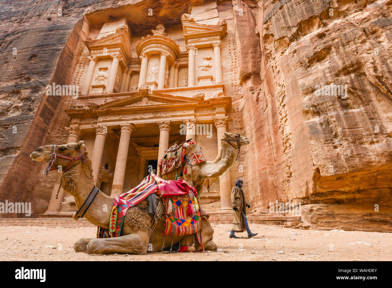 Old world camels hi-res stock photography and images - Alamy