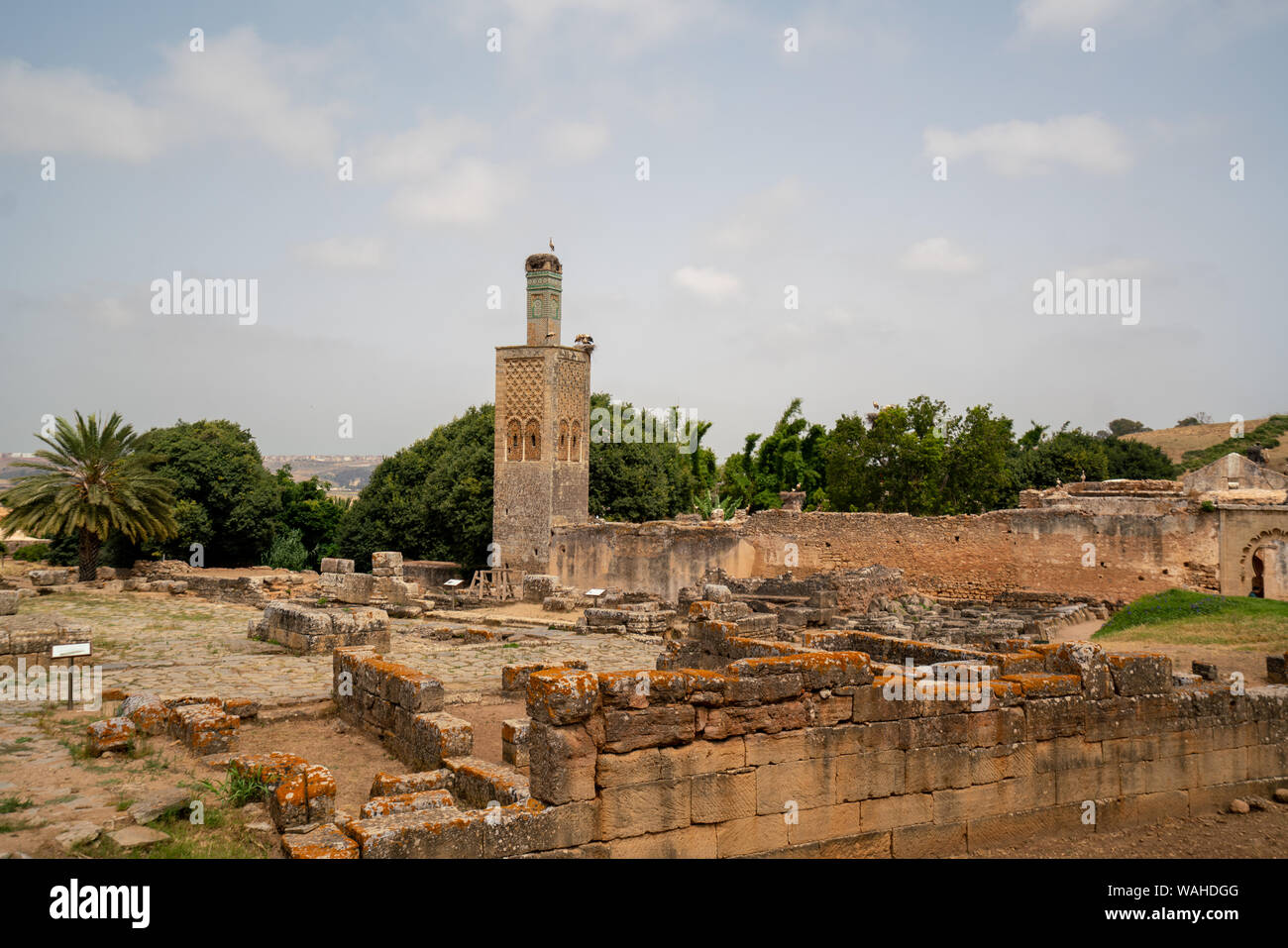 Chella Rabat Stock Photos & Chella Rabat Stock Images - Alamy
