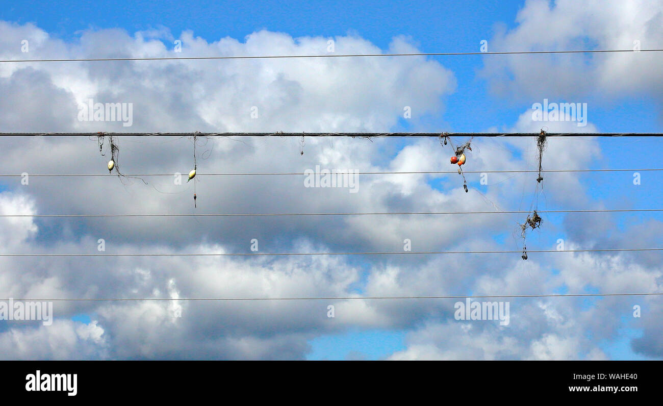 Fishing tackle snagged on power lines Stock Photo - Alamy