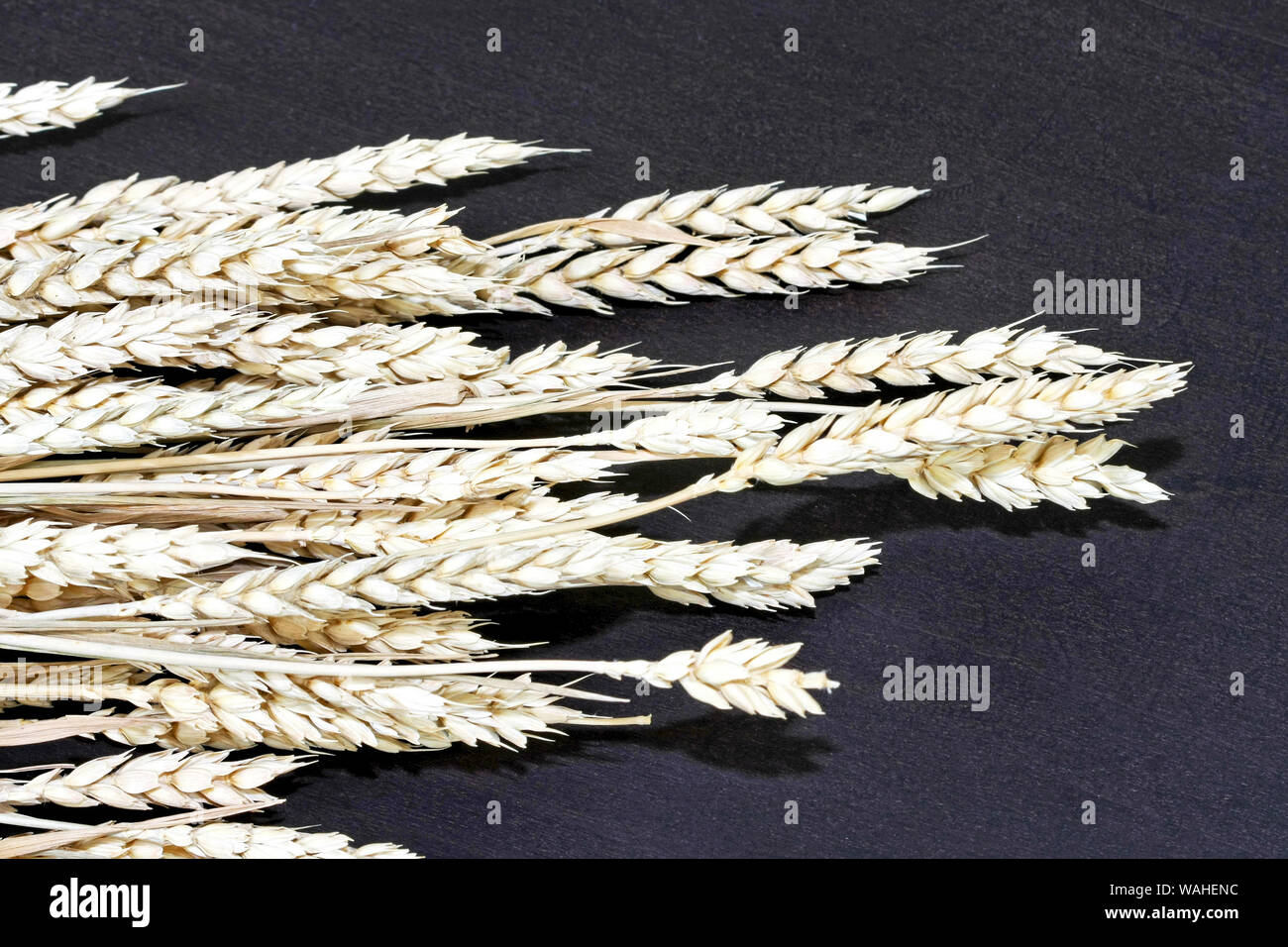 Bundle of wheat hi-res stock photography and images - Alamy