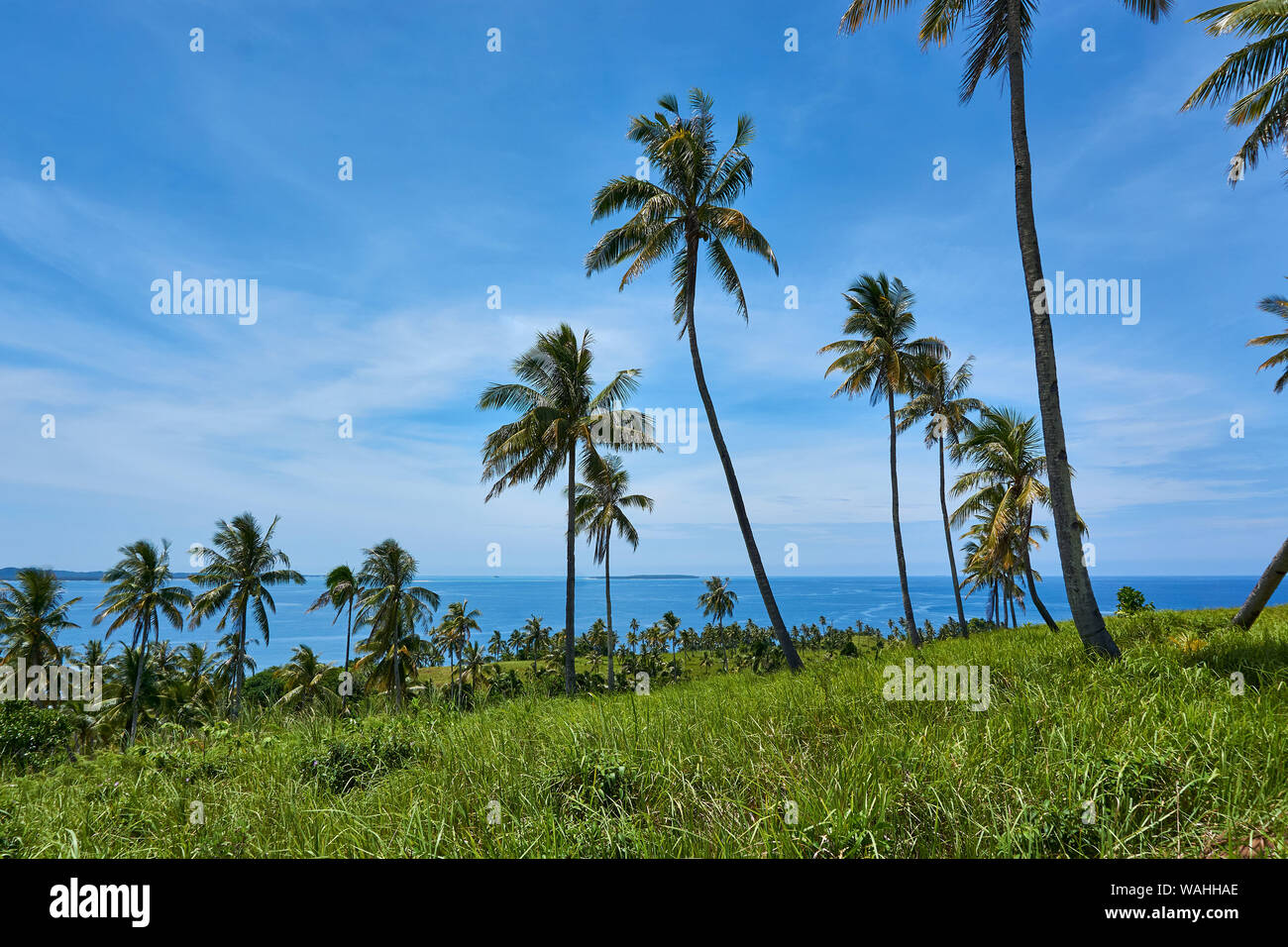 View over Tropical Island, Siargao Island Landscape Stock Photo - Alamy