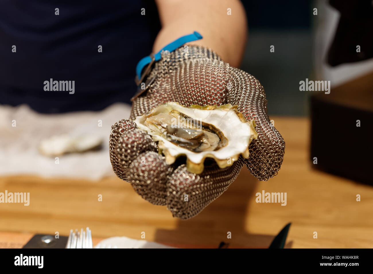Chef is shoving open oyster in armour gloved hand Stock Photo - Alamy