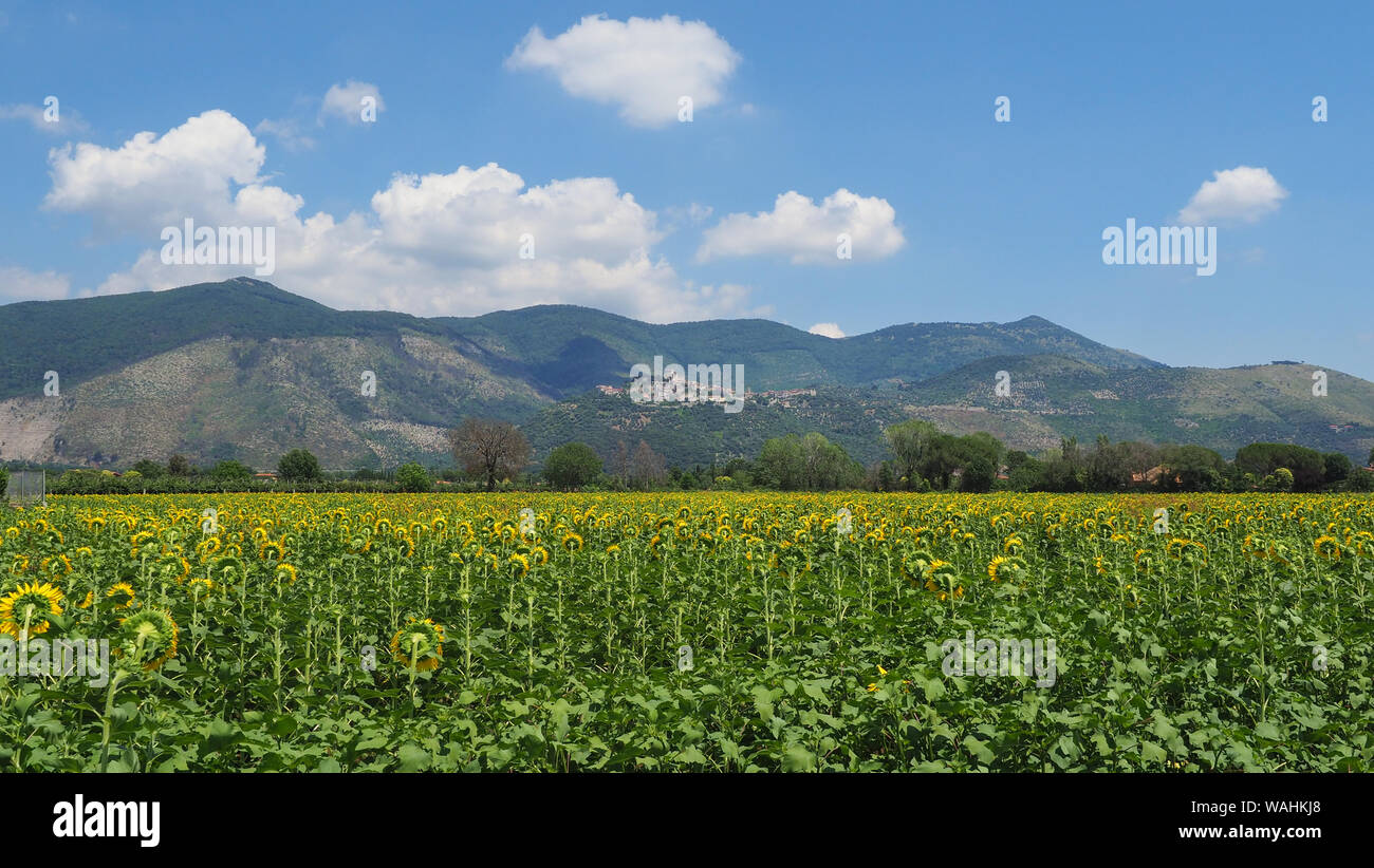 Sermoneta hi-res stock photography and images - Alamy