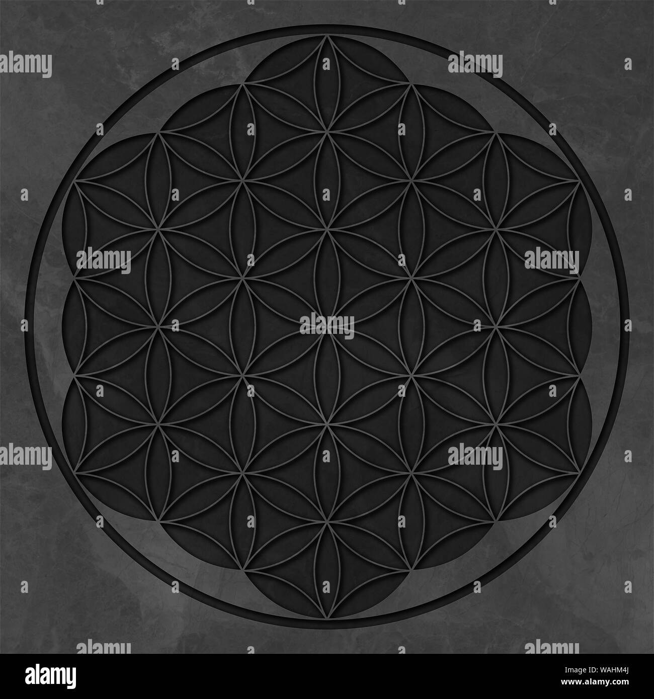 Flower of Life Stock Photo - Alamy