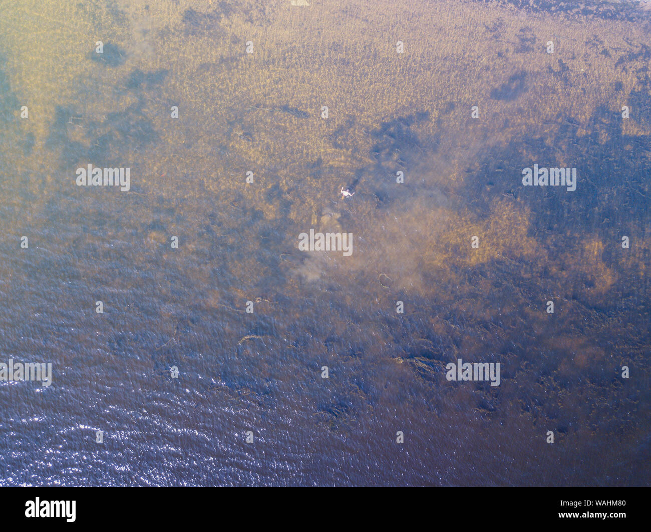aerial top view of summer thailand resort beach, man swimming in sea ...