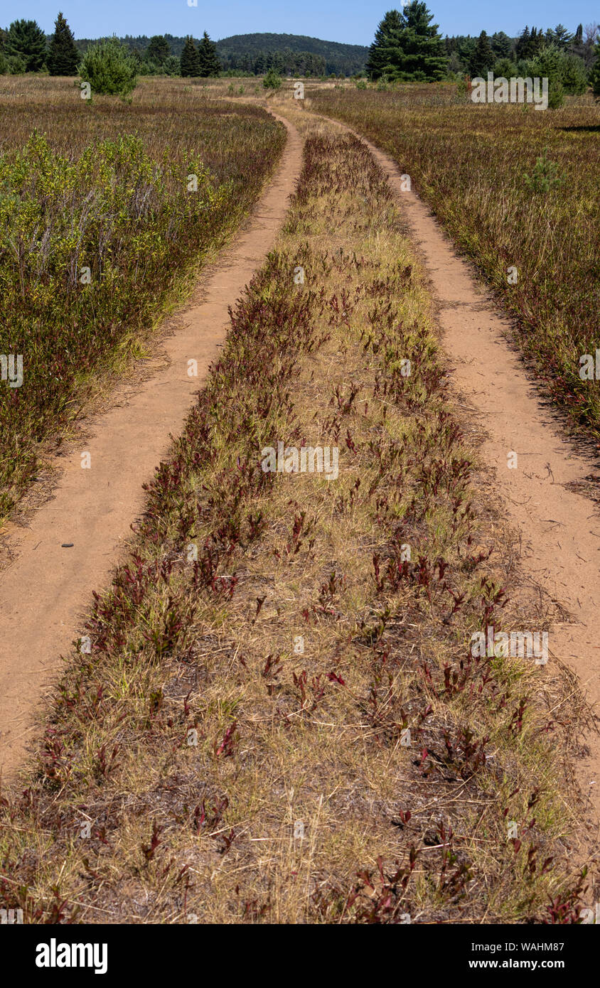 Parallel lines field hi-res stock photography and images - Alamy