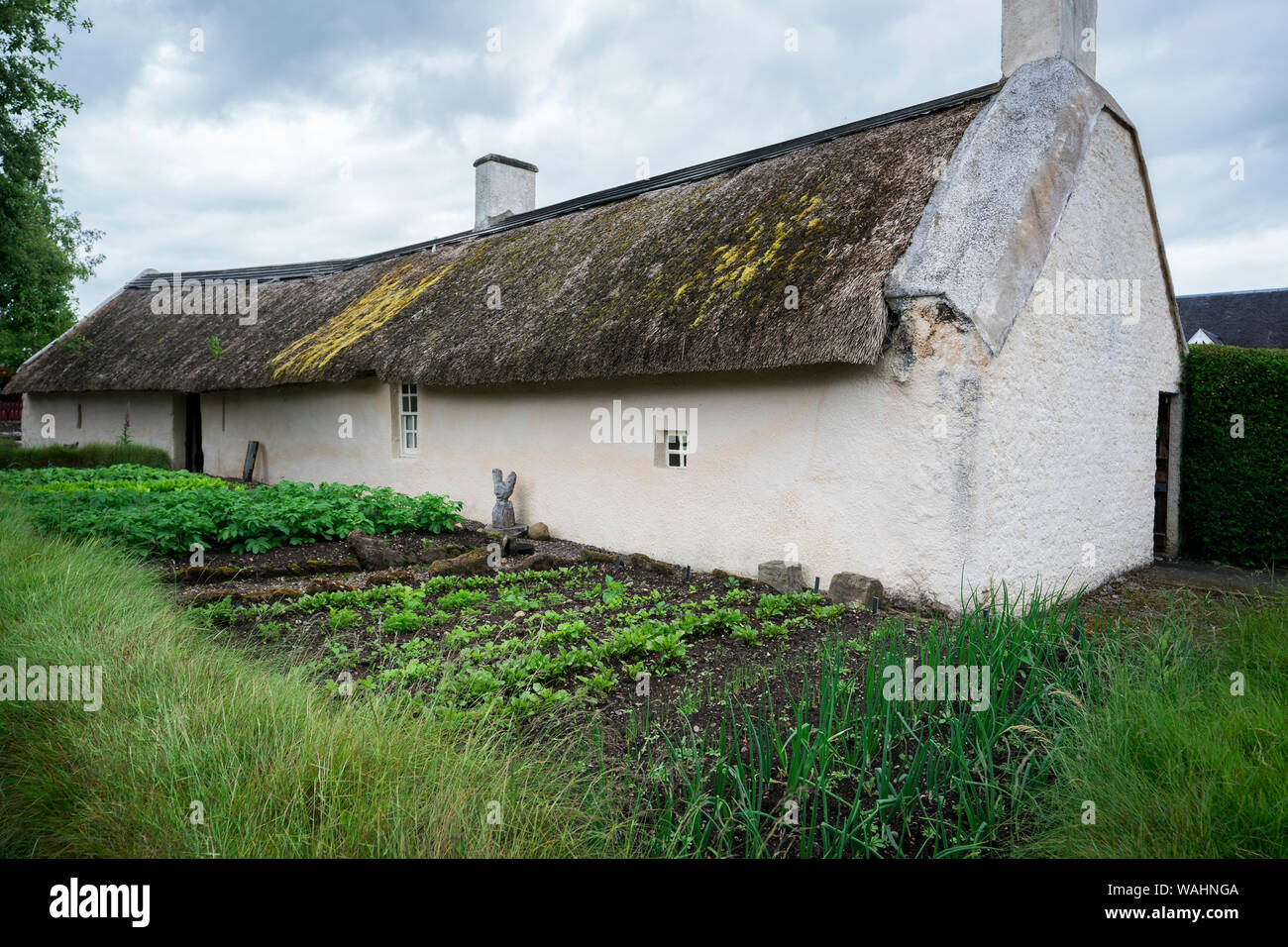 Robert burns cottage garden hi-res stock photography and images - Alamy