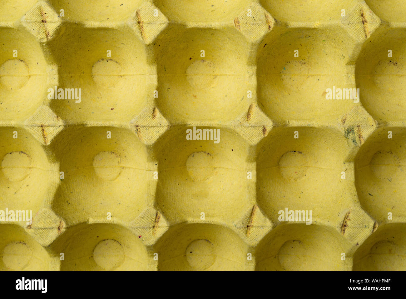 top view empty egg case Stock Photo - Alamy