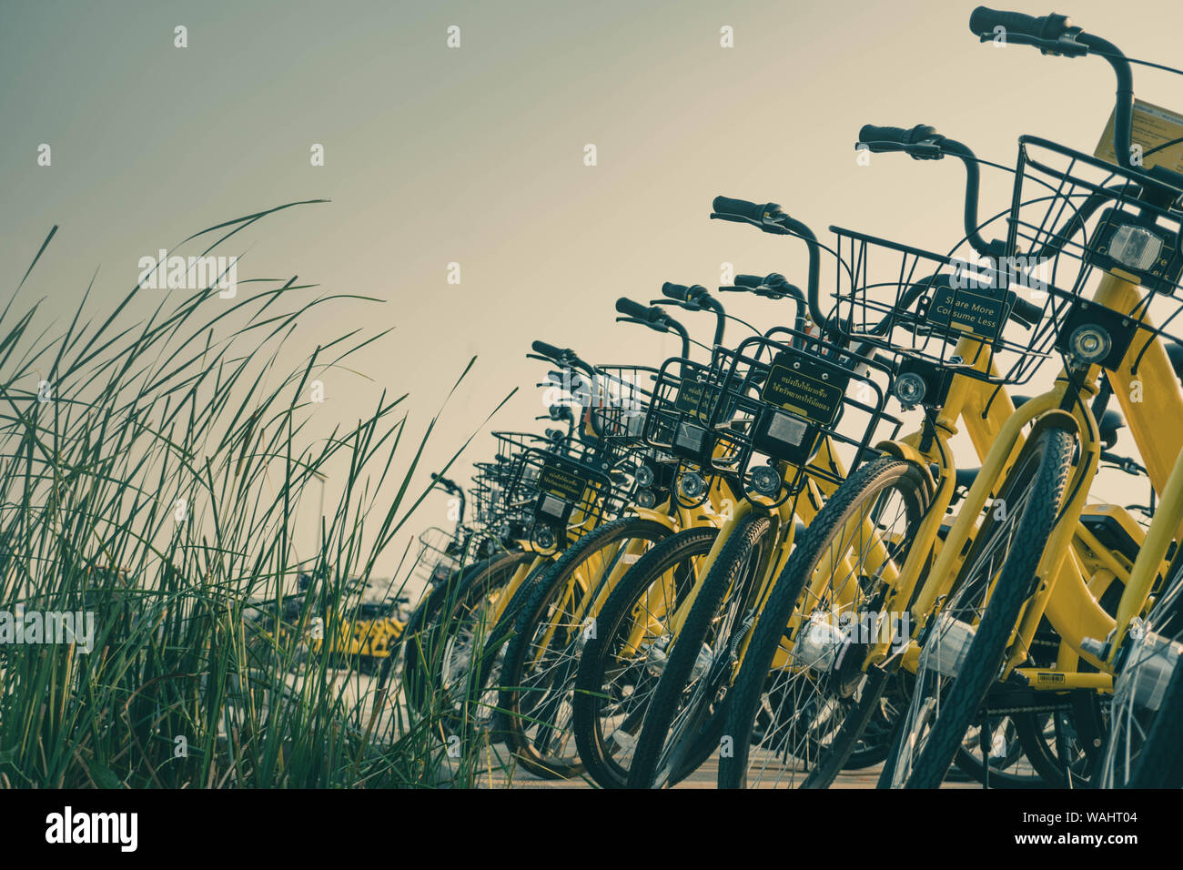 University campus transportation hi-res stock photography and images ...