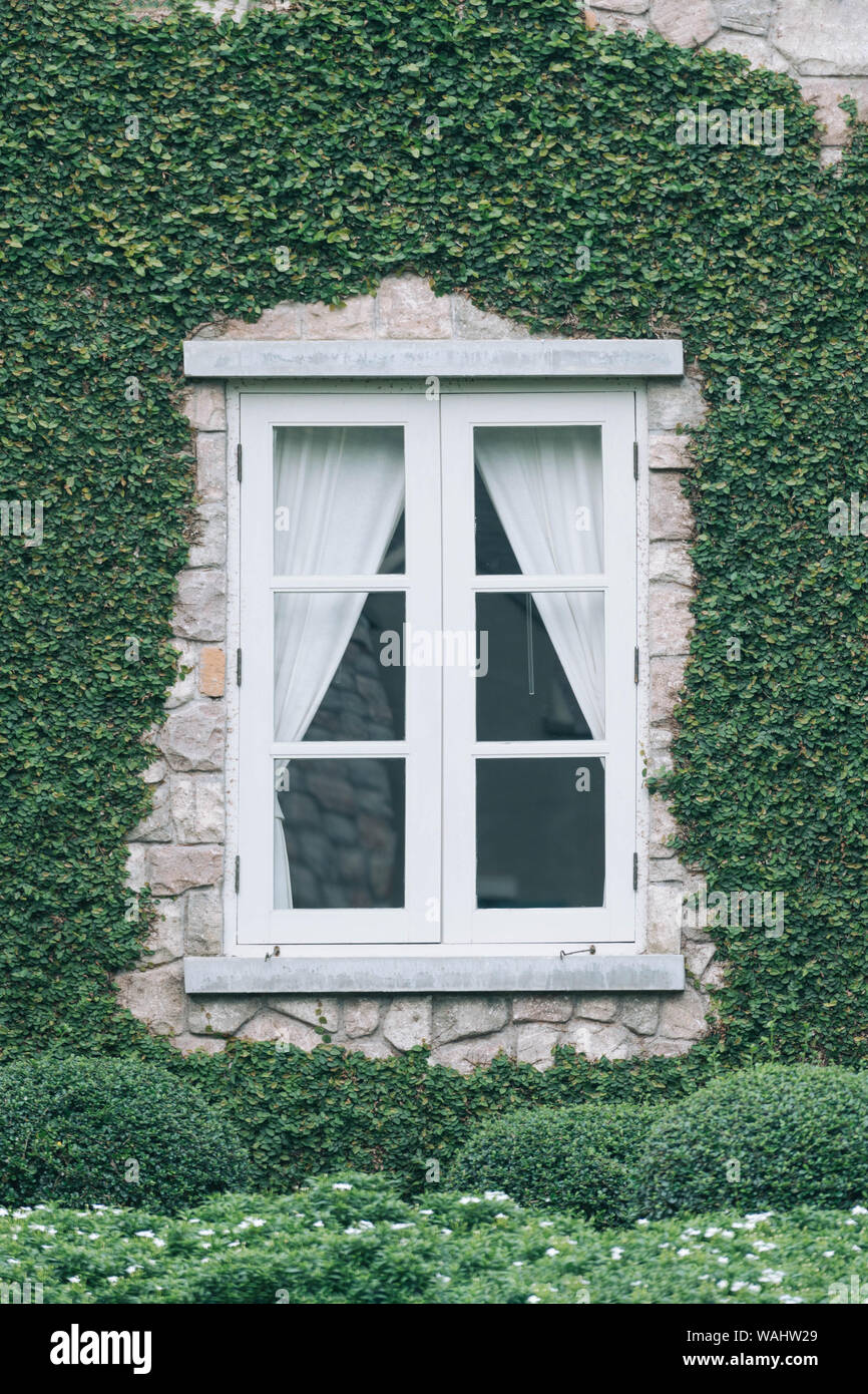 Brick wall with window hi-res stock photography and images - Alamy