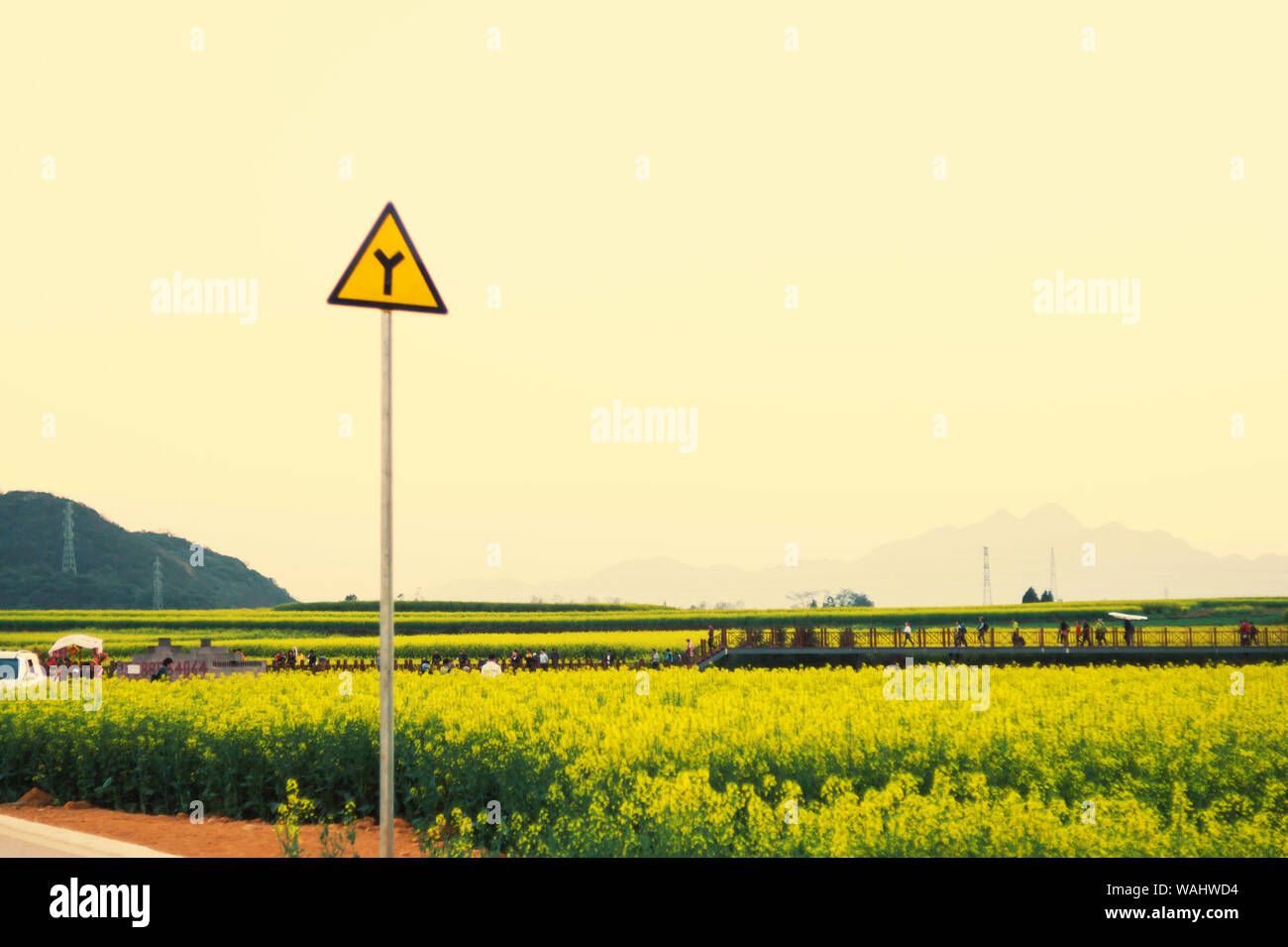 Road signs with Yellow rapeseed flowers Field at Luoping County, China ...