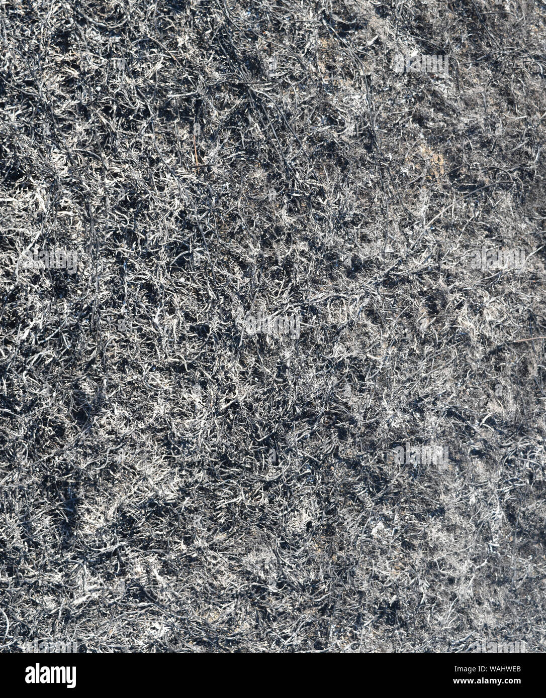 Background from the ashes of the burnt grass. Plant ash on the field ...