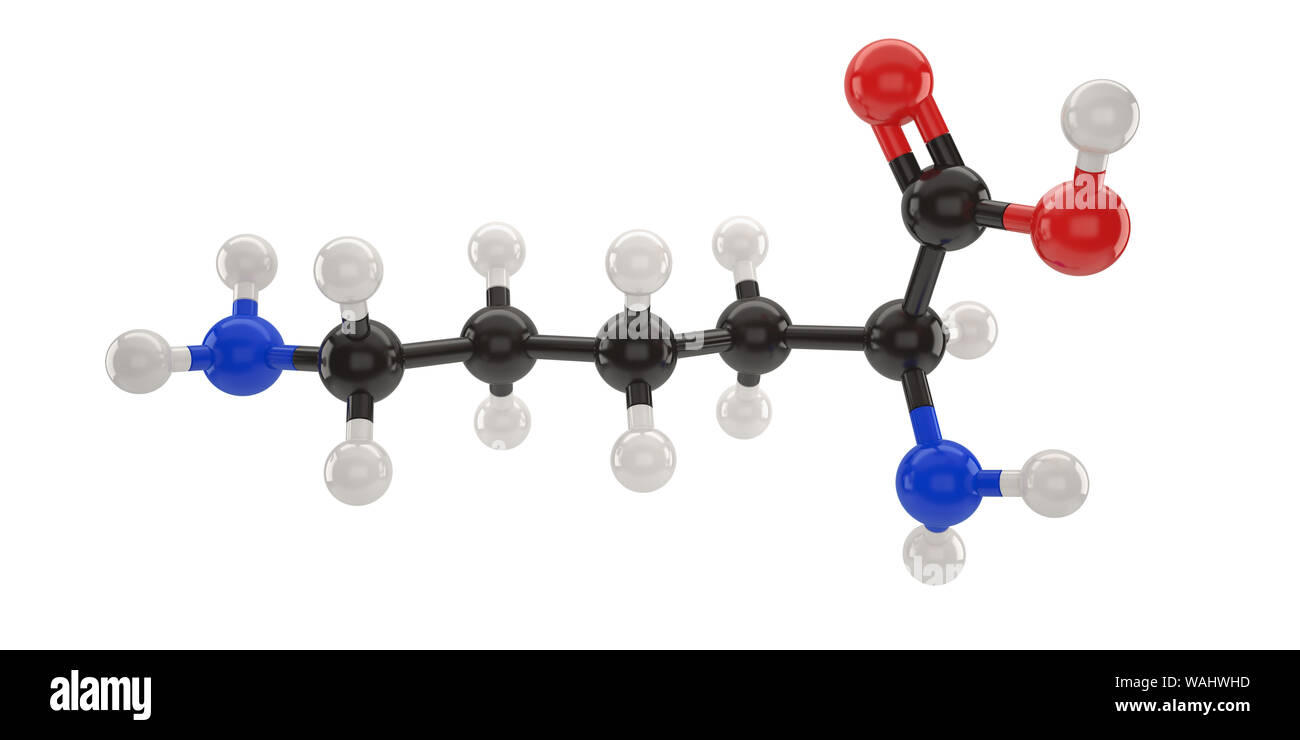 Lysine molecule structure 3d illustration with clipping path Stock ...