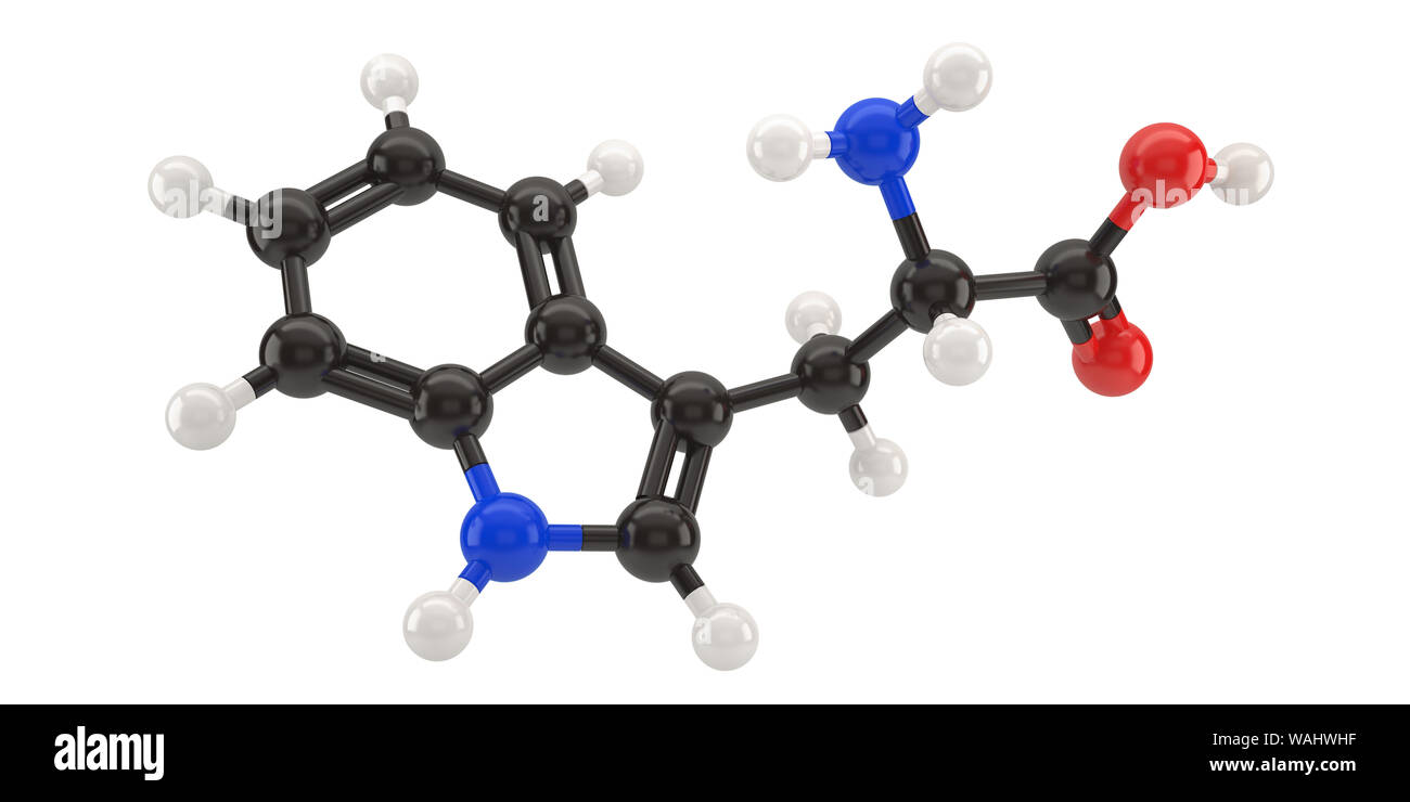 Amino acid tryptophan hi-res stock photography and images - Alamy