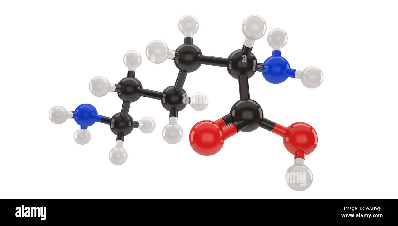 Lysine molecule structure 3d illustration with clipping path Stock ...