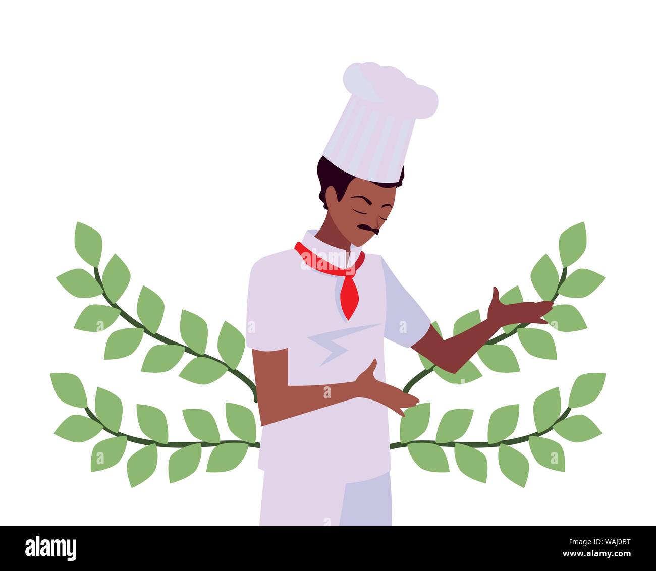 man chef character with uniform branch leaves vector illustration Stock ...
