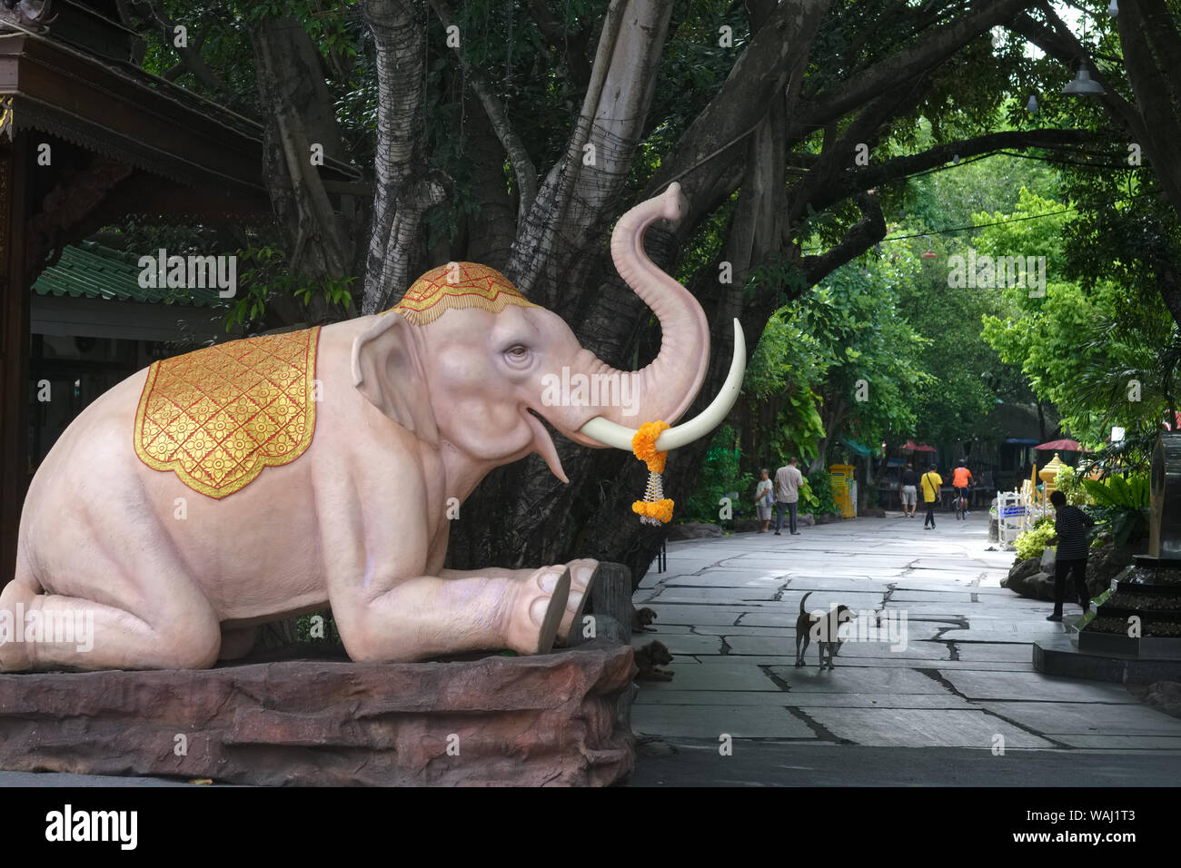 White elephant reverence thailand hi-res stock photography and images ...