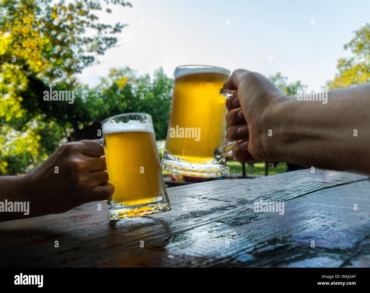 Two men drinking beer hi-res stock photography and images - Alamy