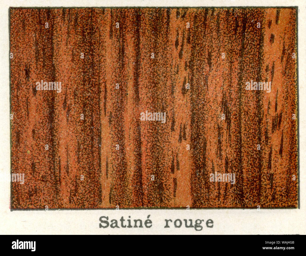 Satine hi-res stock photography and images - Alamy