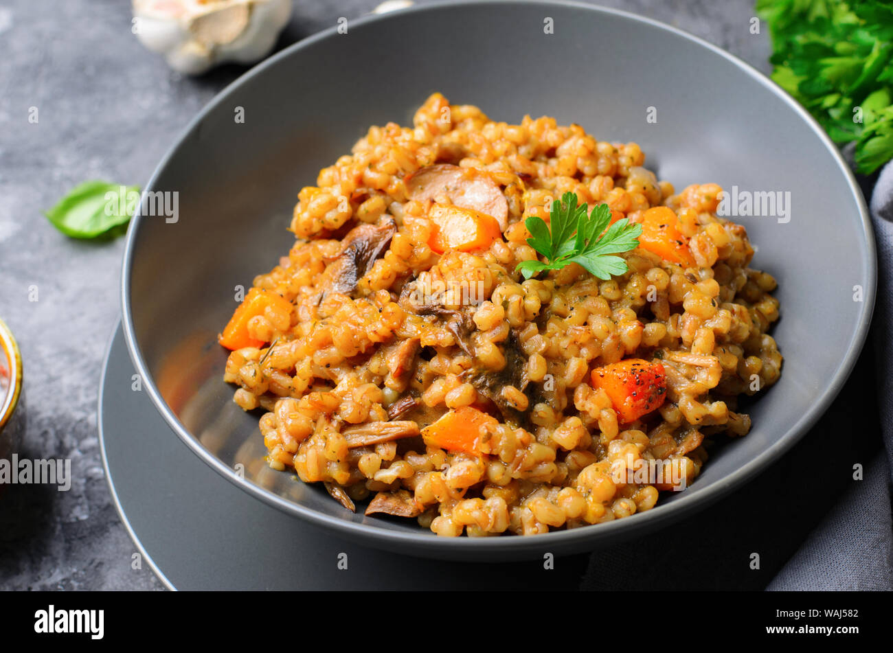 Spelt Pumpkin Mushroom Risotto on Grey Background, Tasty Vegetarian ...
