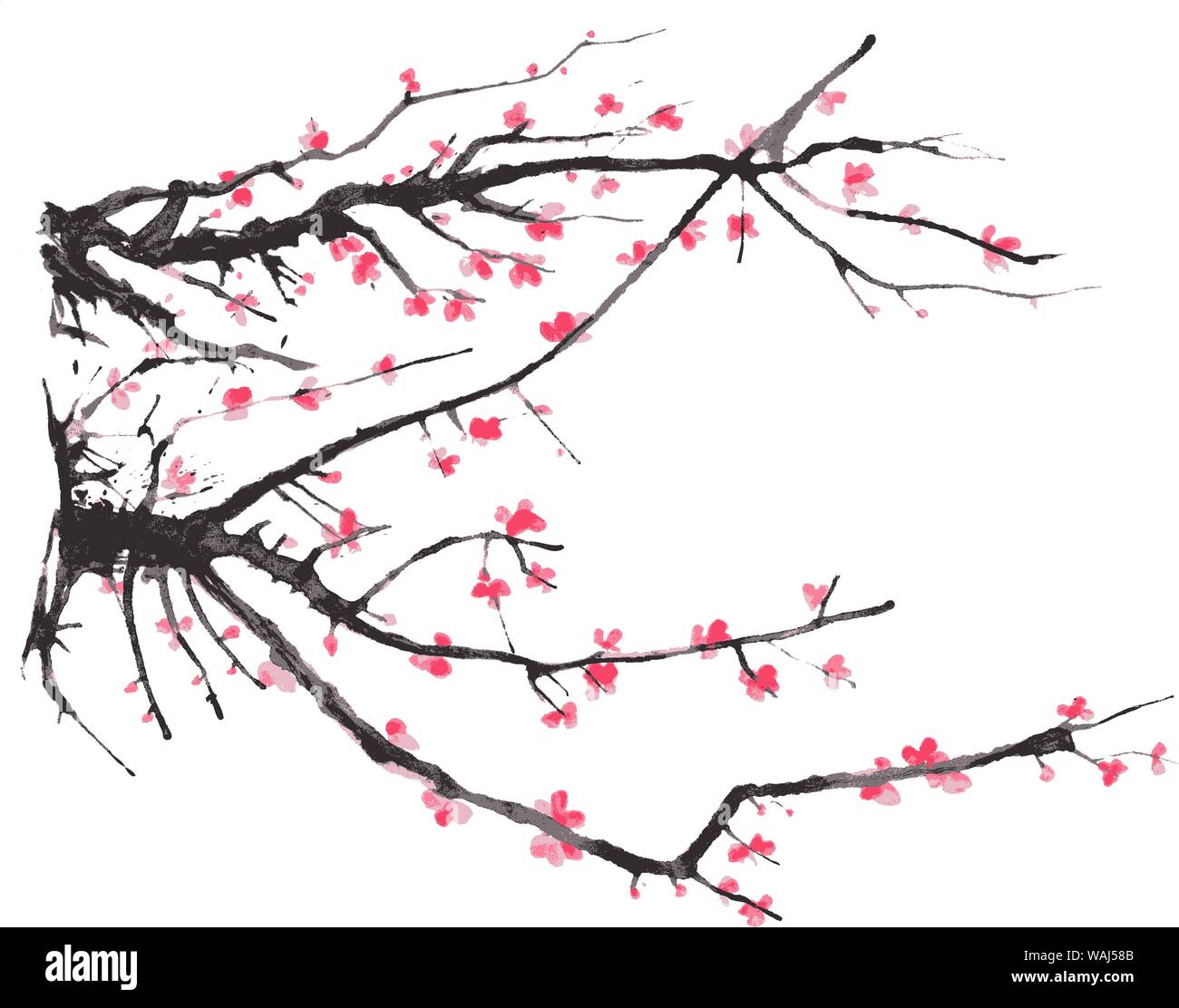 Realistic sakura blossom watercolor isolated on white background ...