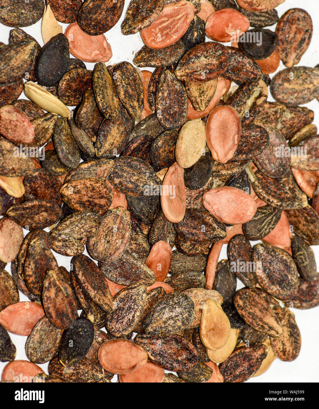 Seeds of watermelon on a white background. watermelon seeds for sowing ...
