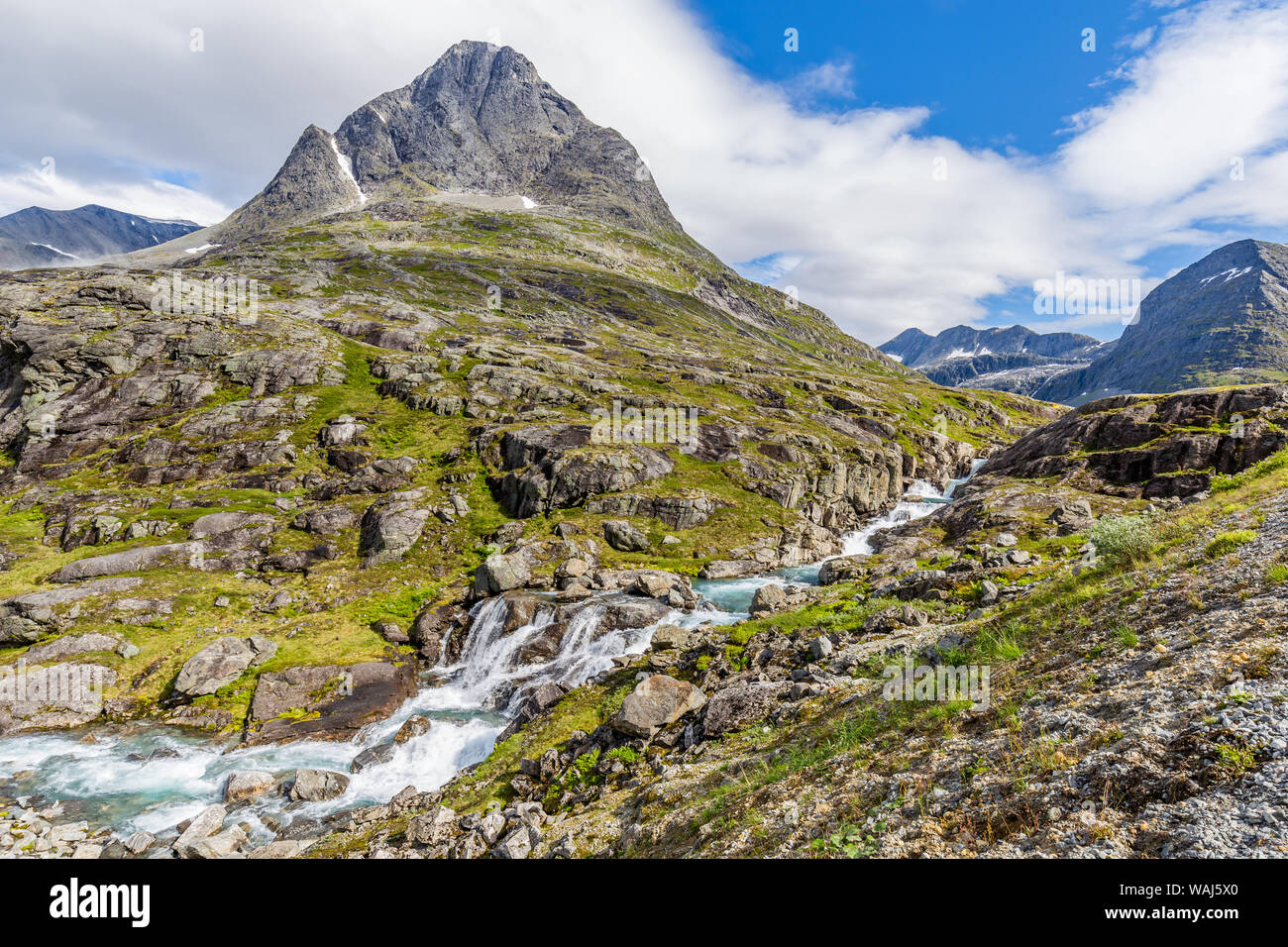 Norwegian mountain landscape with a river and rapids along national ...