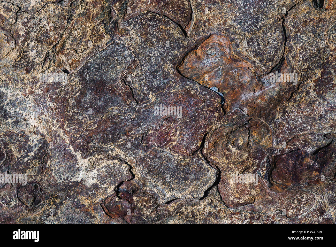 Cresta baja hi-res stock photography and images - Alamy