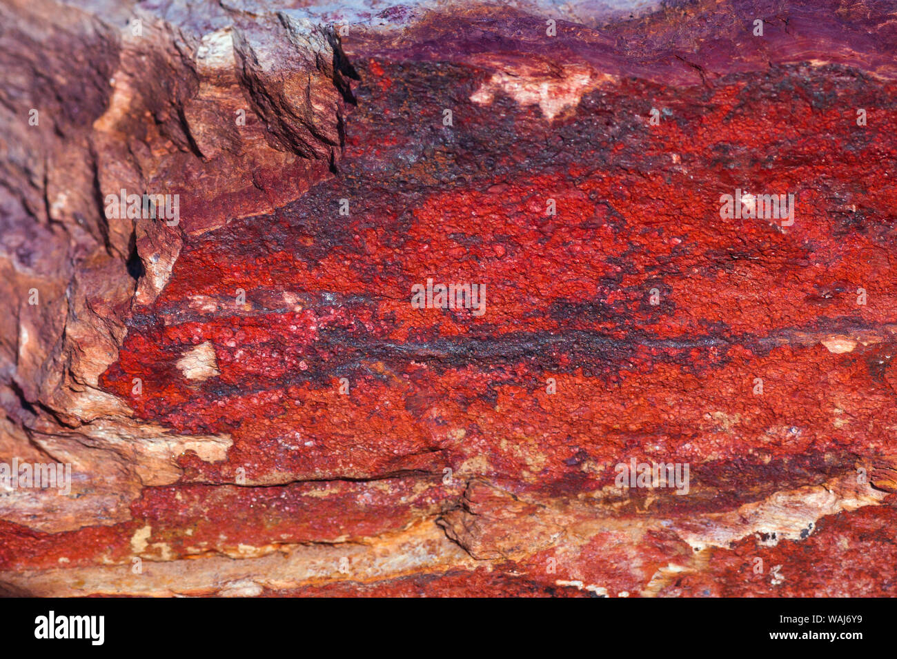 Red baja hi-res stock photography and images - Alamy