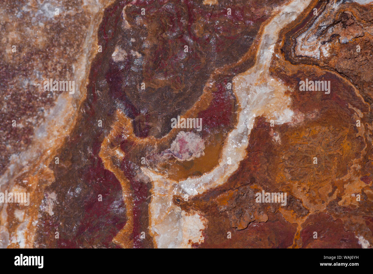 Metamorphic rock with quartz vein Stock Photo - Alamy