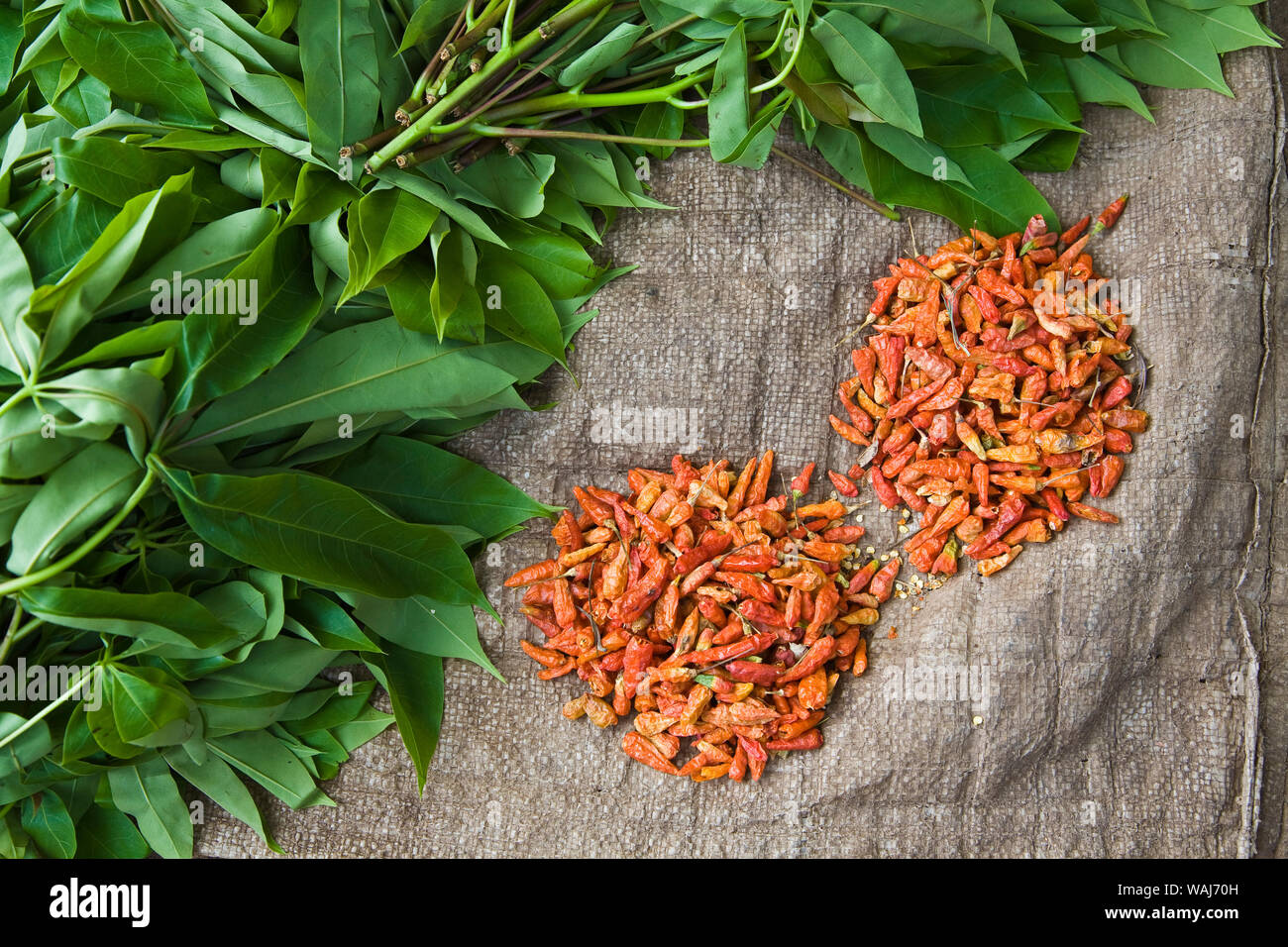 West Africa, Benin. Chili peppers and greens displayed across tarp at ...