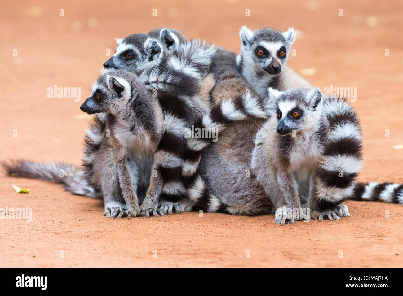 Group ring hi-res stock photography and images - Alamy