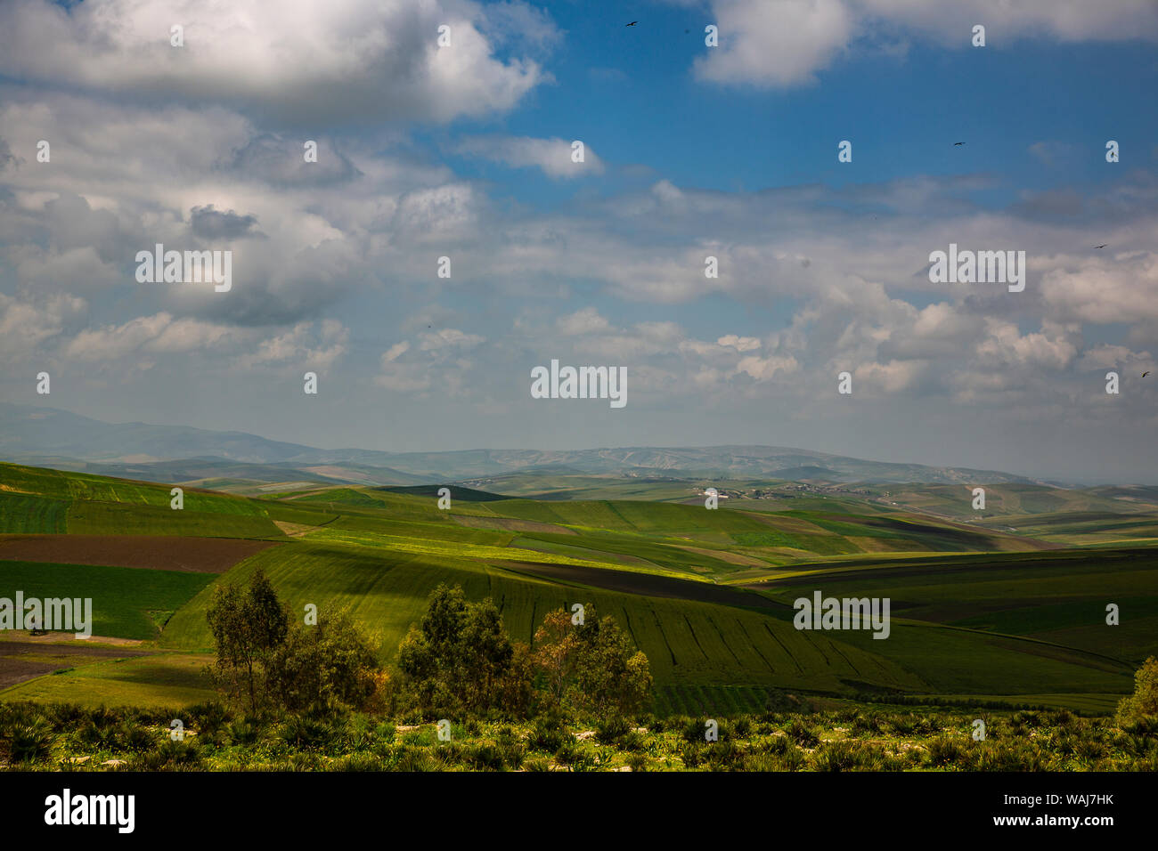 Green and fertile hi-res stock photography and images - Alamy