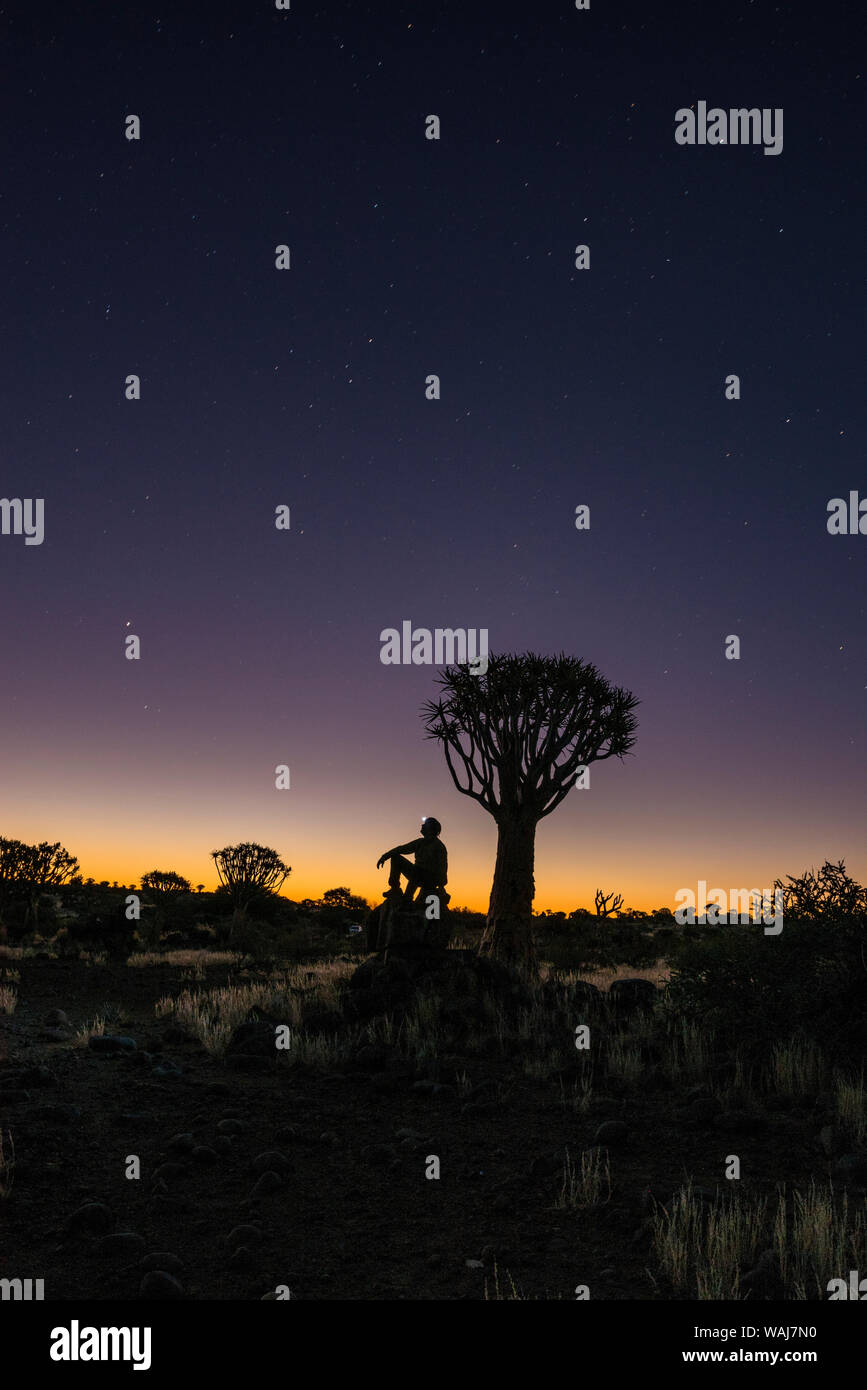 Person star gazing hi-res stock photography and images - Alamy