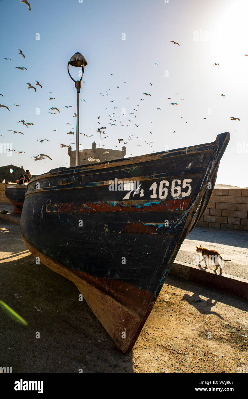 Flying over a boat hi-res stock photography and images - Alamy
