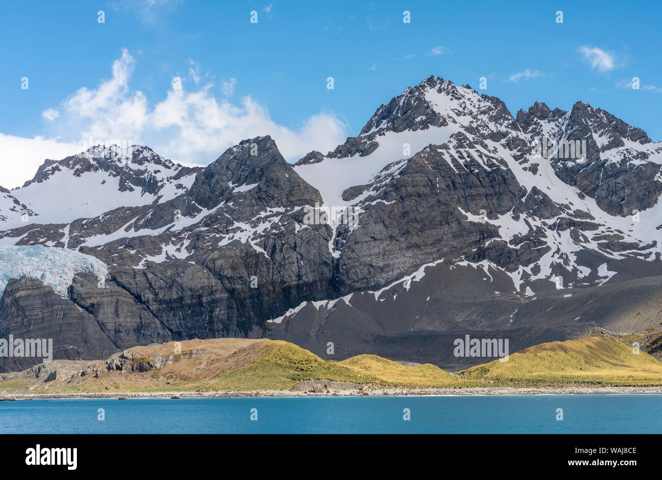 Gold Harbor on South Georgia Stock Photo - Alamy