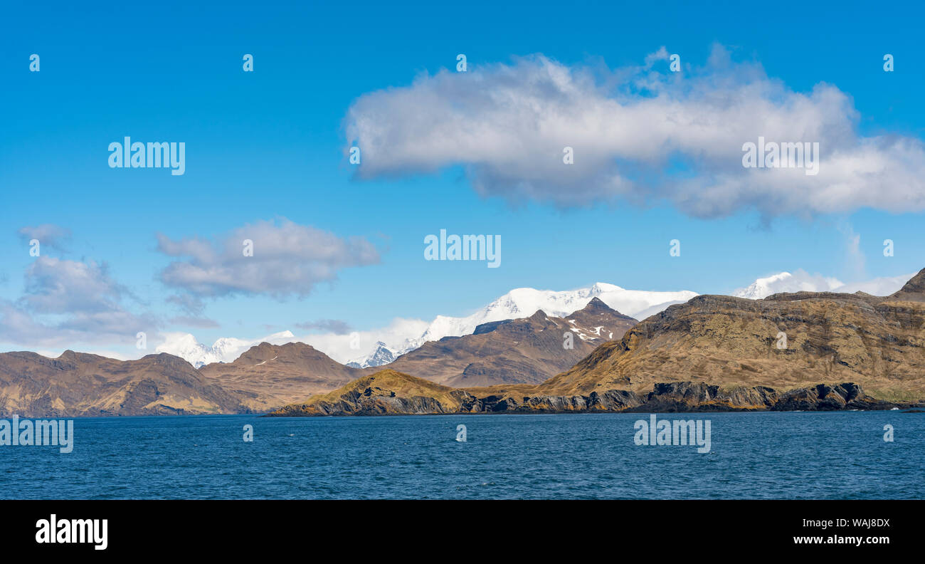 The Allardyce Range with Mt. Paget, the highest mountain on South ...