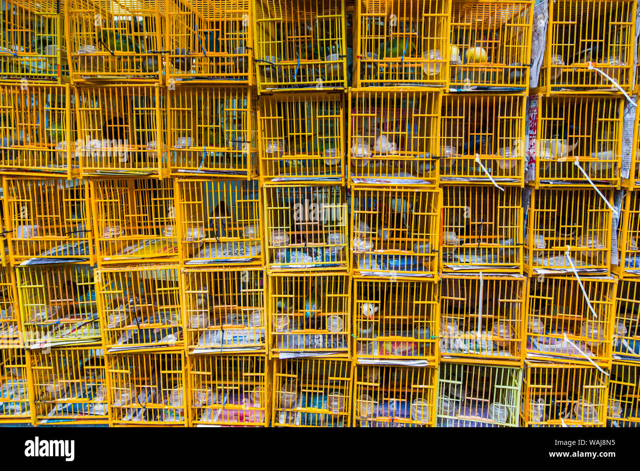 Yuen Po Street Bird Garden market, Mongkok, Kowloon, Hong Kong, China ...
