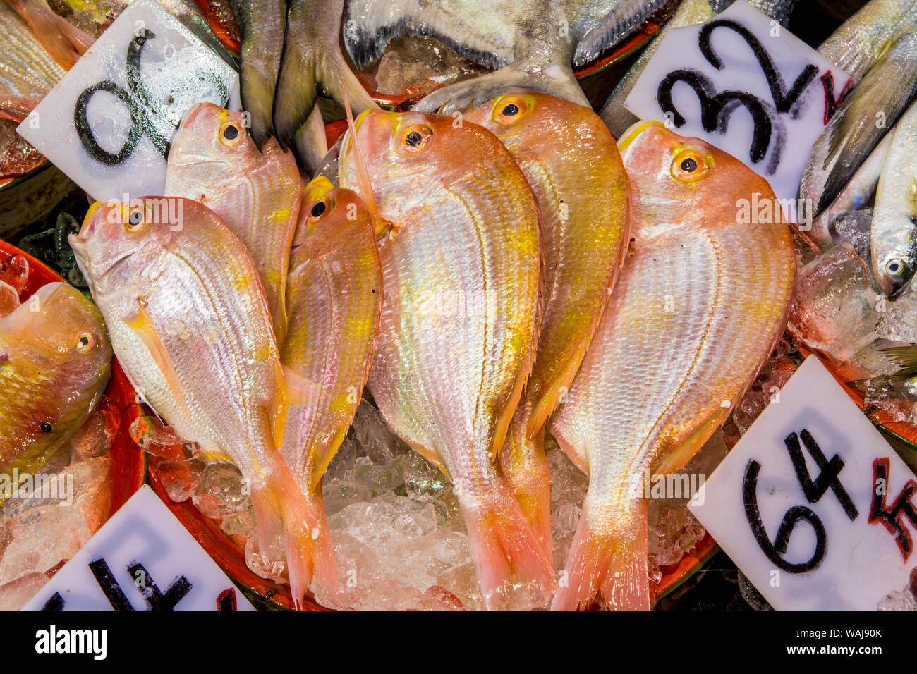 Fish vendors on Canton Road, Mongkok, Kowloon, Hong Kong, China Stock ...