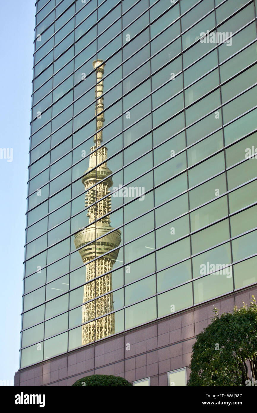 Japan, Tokyo, Asakusa. View of Tokyo Skytree telecommunication tower ...