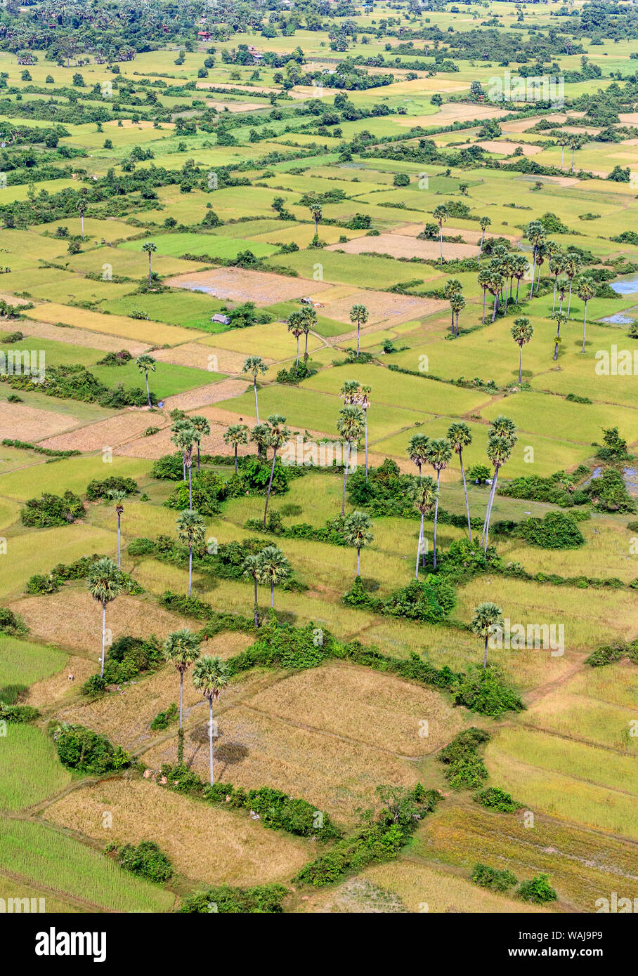 Cambodia rural hi-res stock photography and images - Alamy