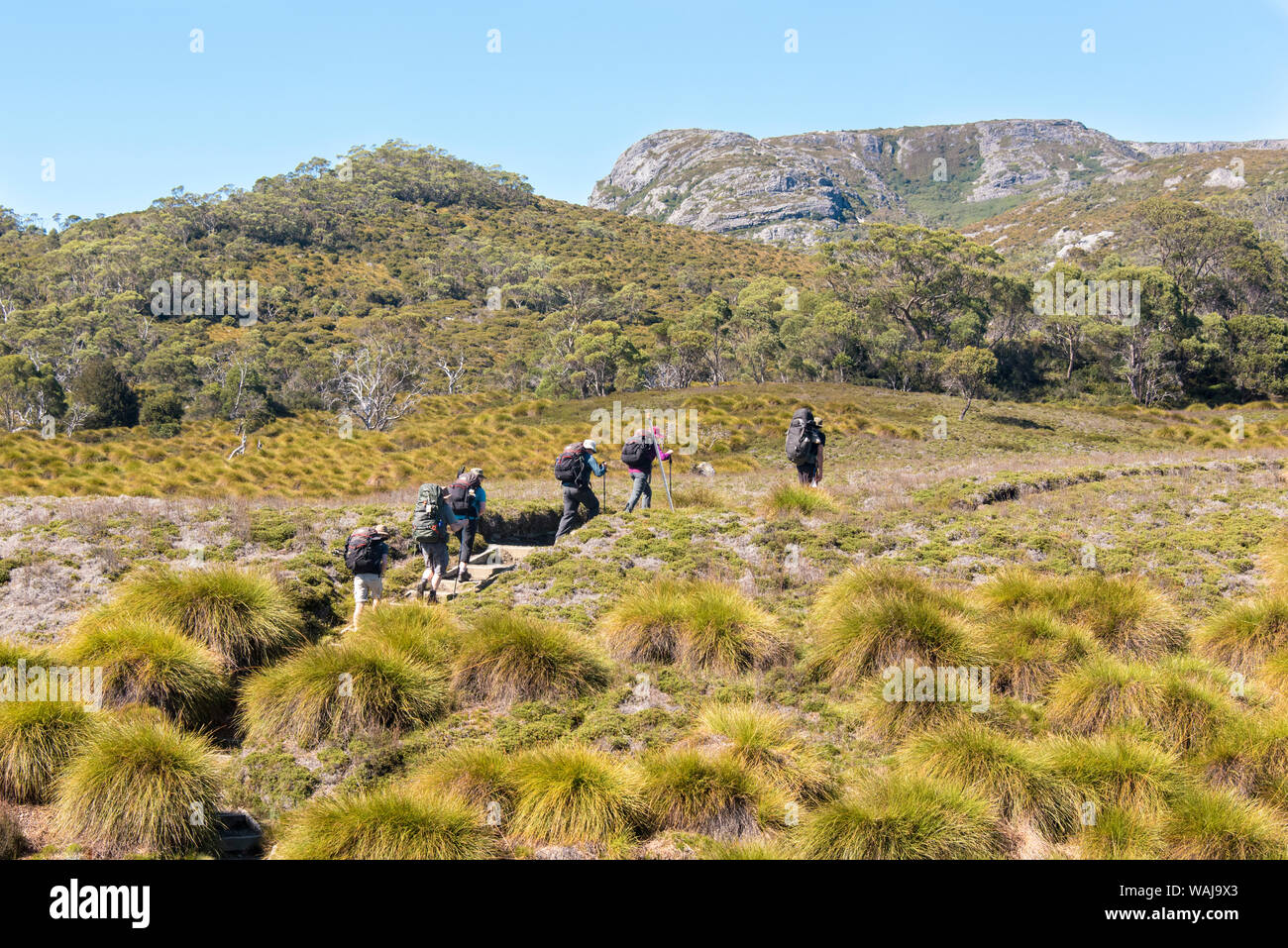 Australia, Tasmania, Cradle Mountain-Lake St Clair National Park ...