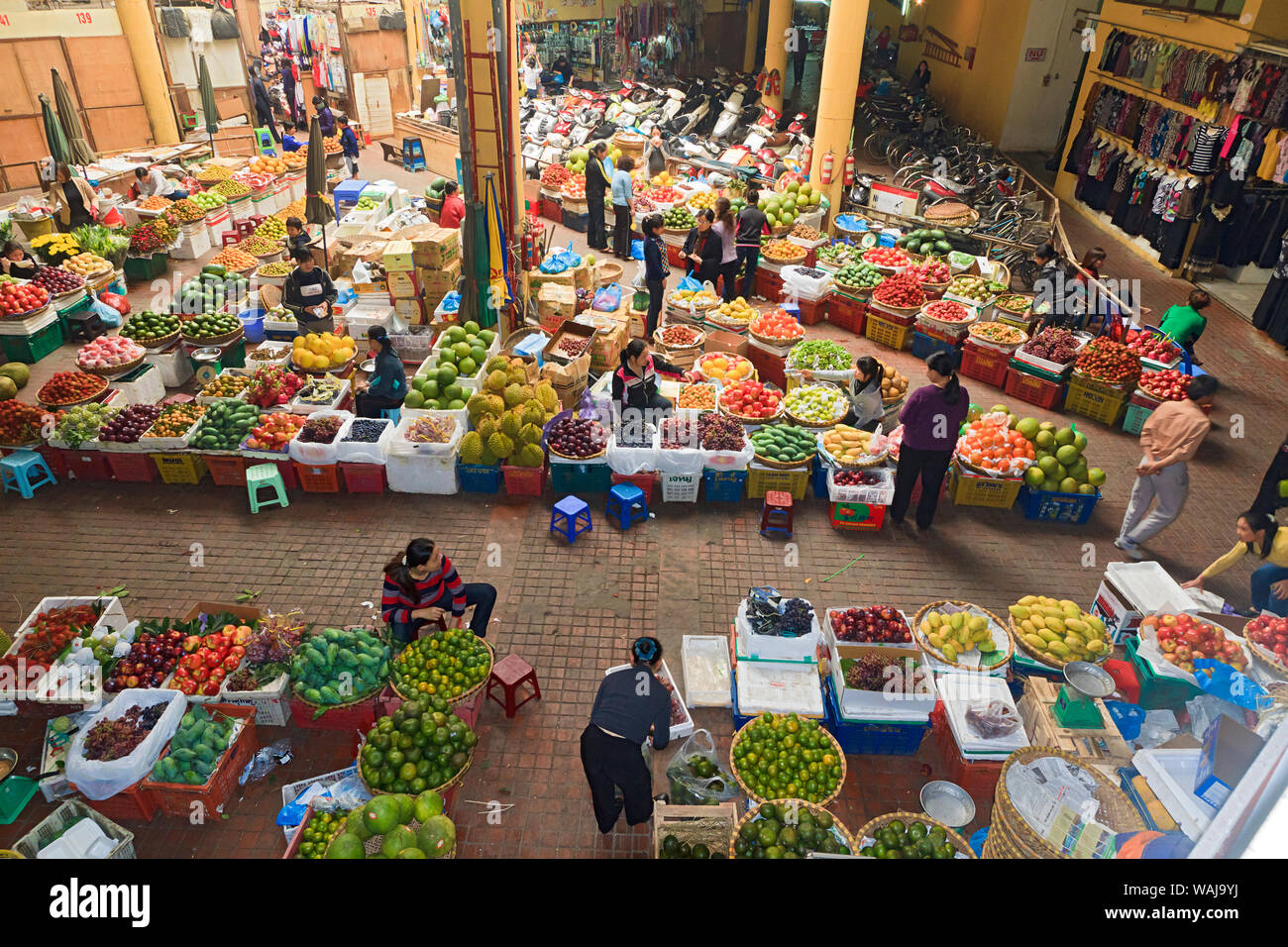 Hanoi, Vietnam. Hom Market, a typical hectic, crowded market selling ...